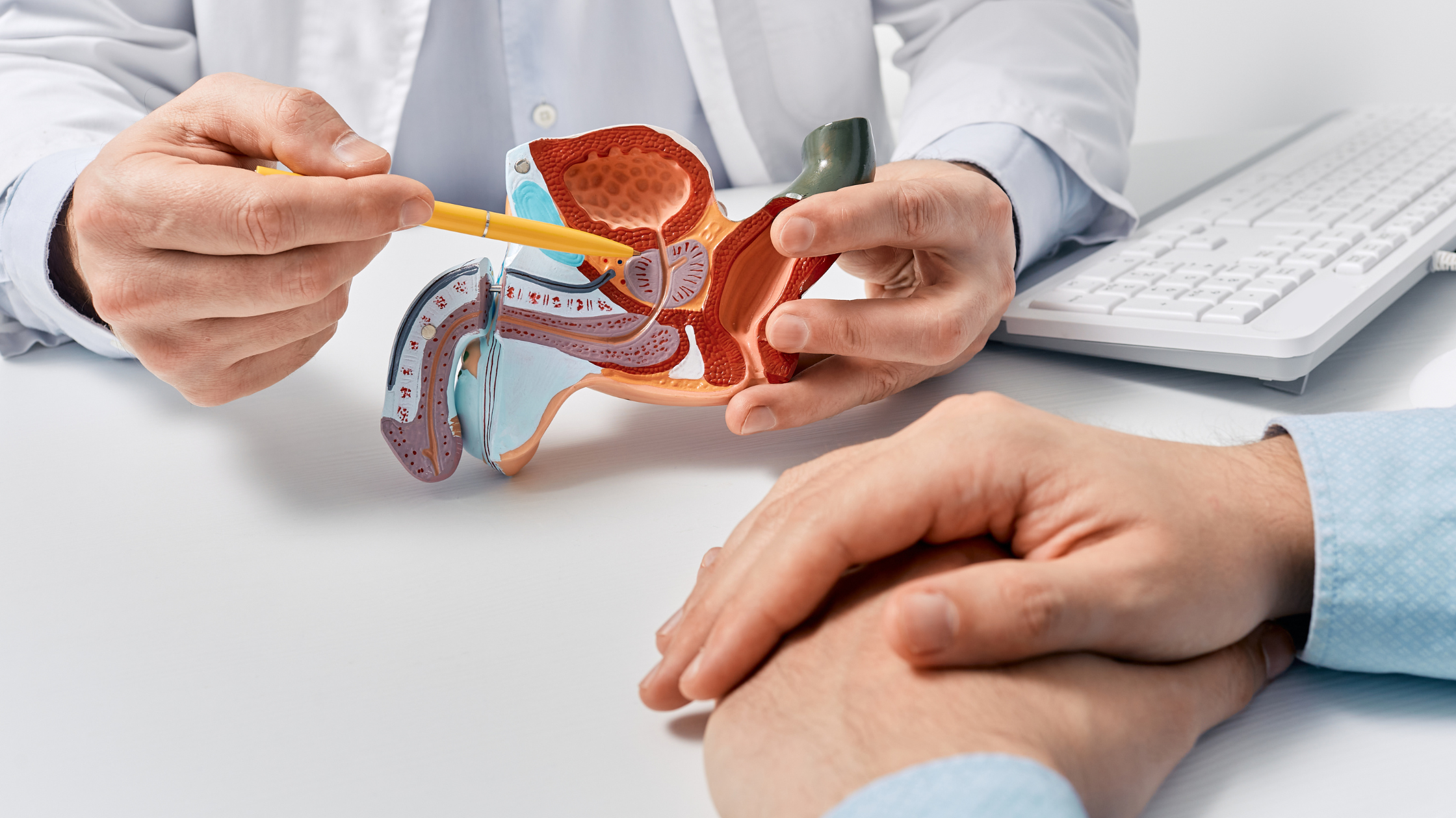 FAQs About the PAE Procedure | Greater Boston Urology