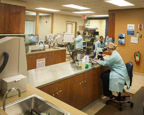 The Greater Boston Urology Lab: A Q&A with Mary Hulbert